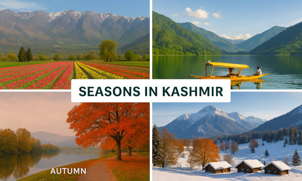 Seasons in Kashmir: A Complete Guide - King of Tiger Travels